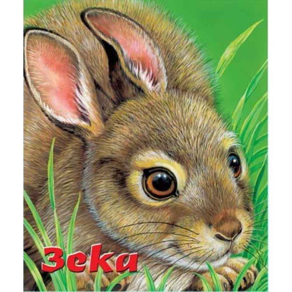 VULKAN TVRDE SLIKOVNICE ZEKA | Baby Park Internet prodavnica