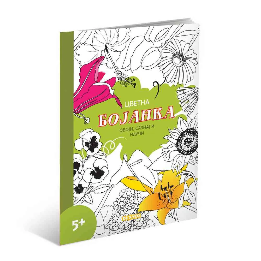 CVETNA BOJANKA | Baby Park Internet prodavnica